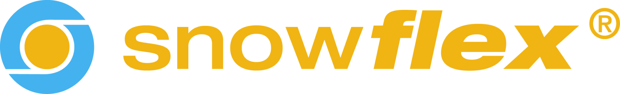 Snowflex® We design & build year-round snowsports centres.