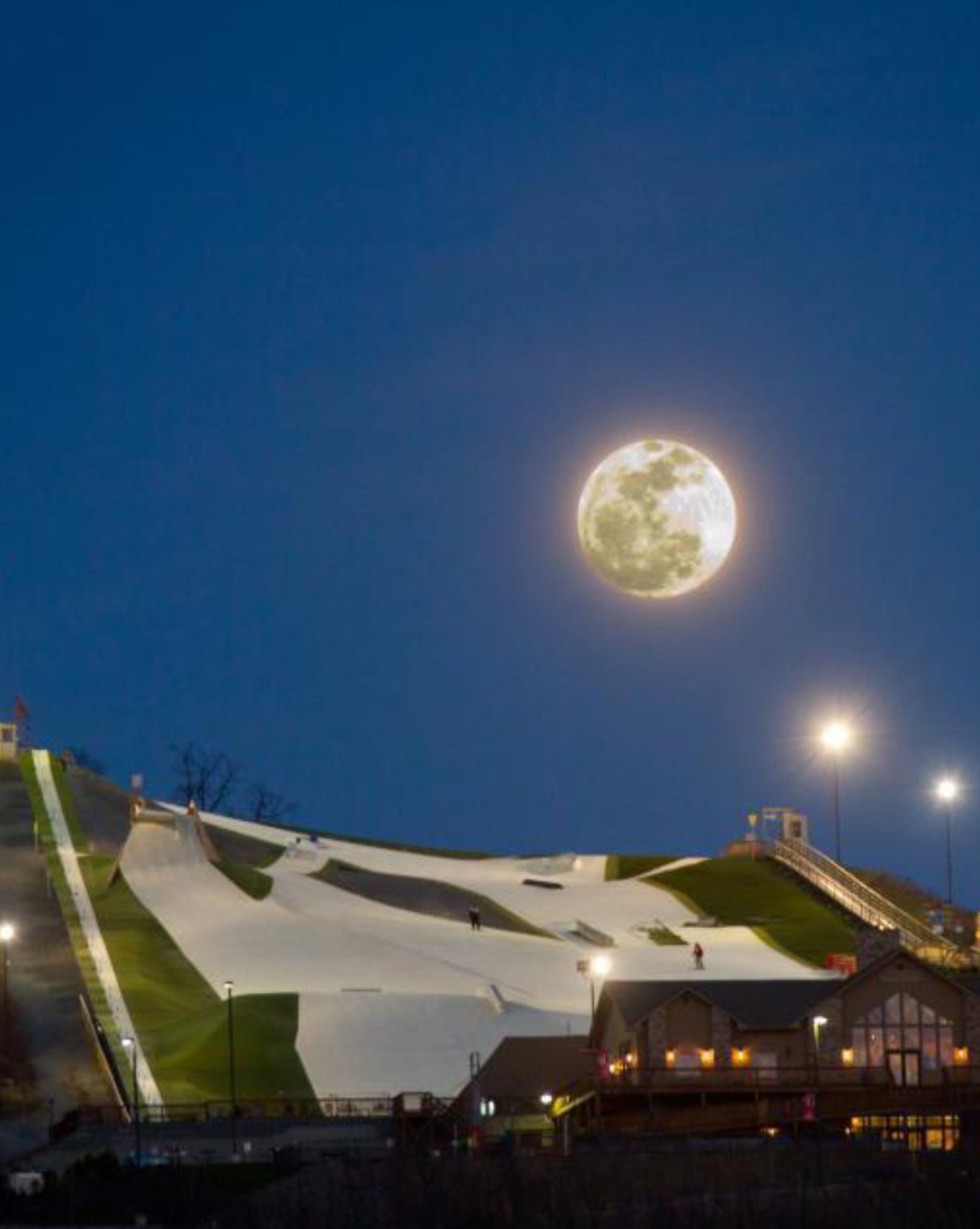 Snowflex® We design & build year-round snowsports centres.